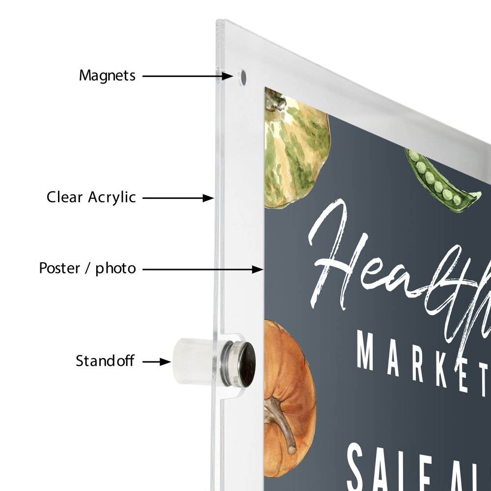 Wall Mount Acrylic Poster Display
